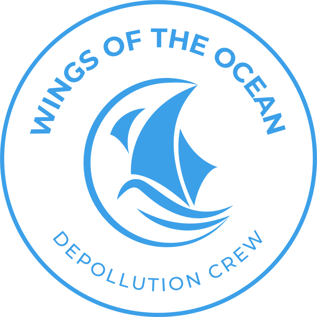 Don - Wings of the Ocean combattant pour la dépollution des océans